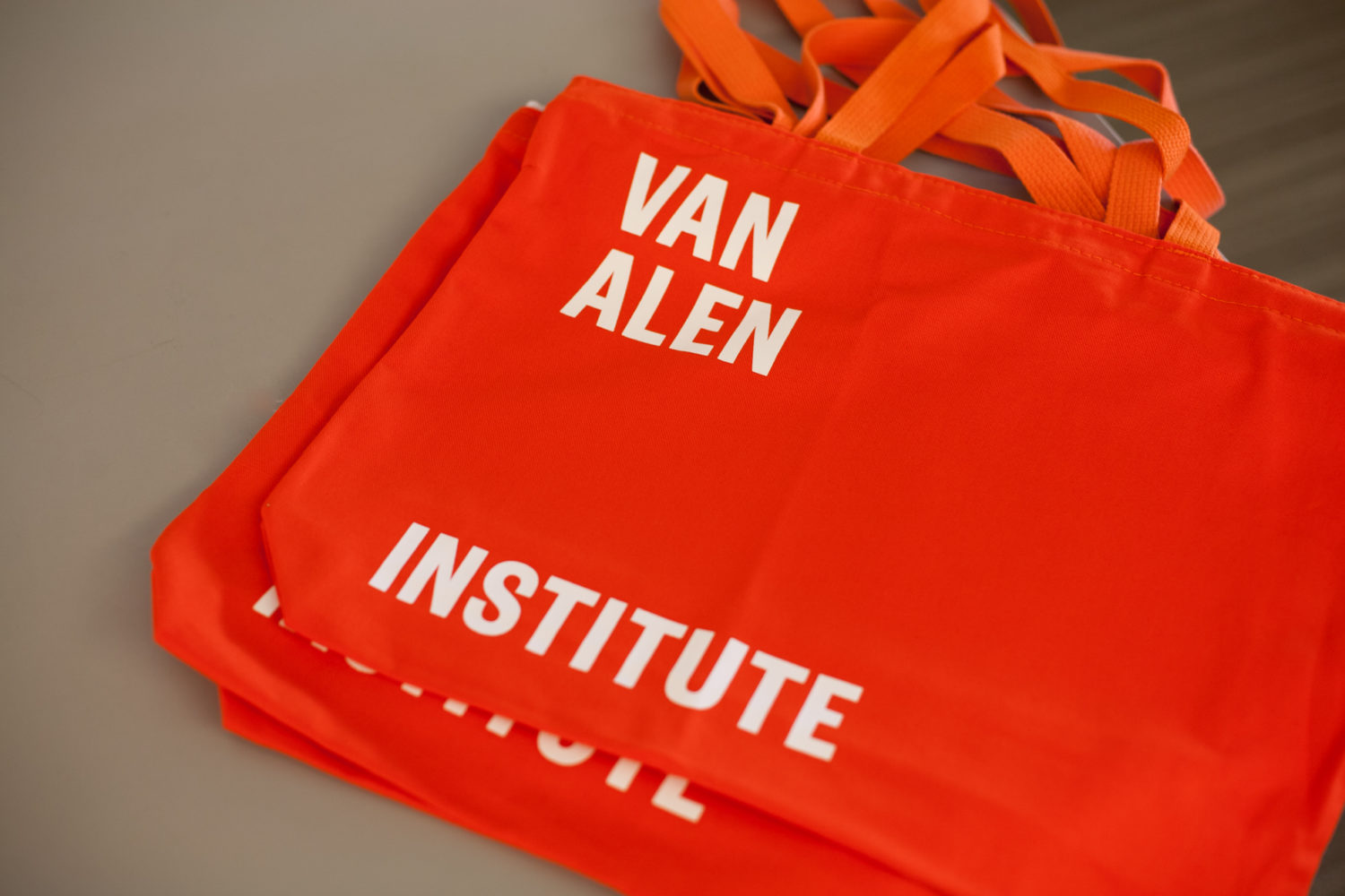 Opportunities | Van Alen Institute